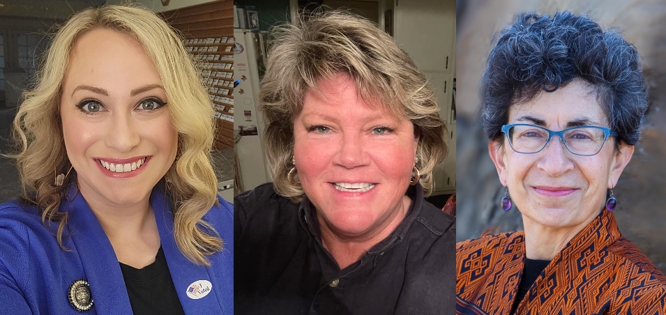 New record for women elected to Iowa Senate; fewer to serve in House ...
