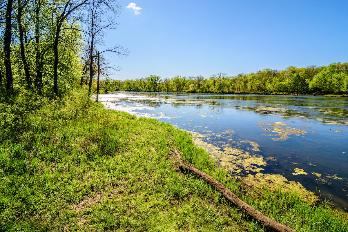 Keeping Iowa In The Dark On Water Quality Is Not Acceptable Flipboard Keeping Iowa In The Dark On Water Quality Is Not Acceptable Flipboard