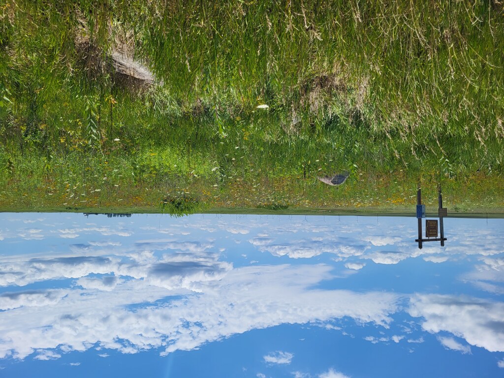 Kara Grady’s Annual Prairiestomp Across Iowa - Bleeding Heartland