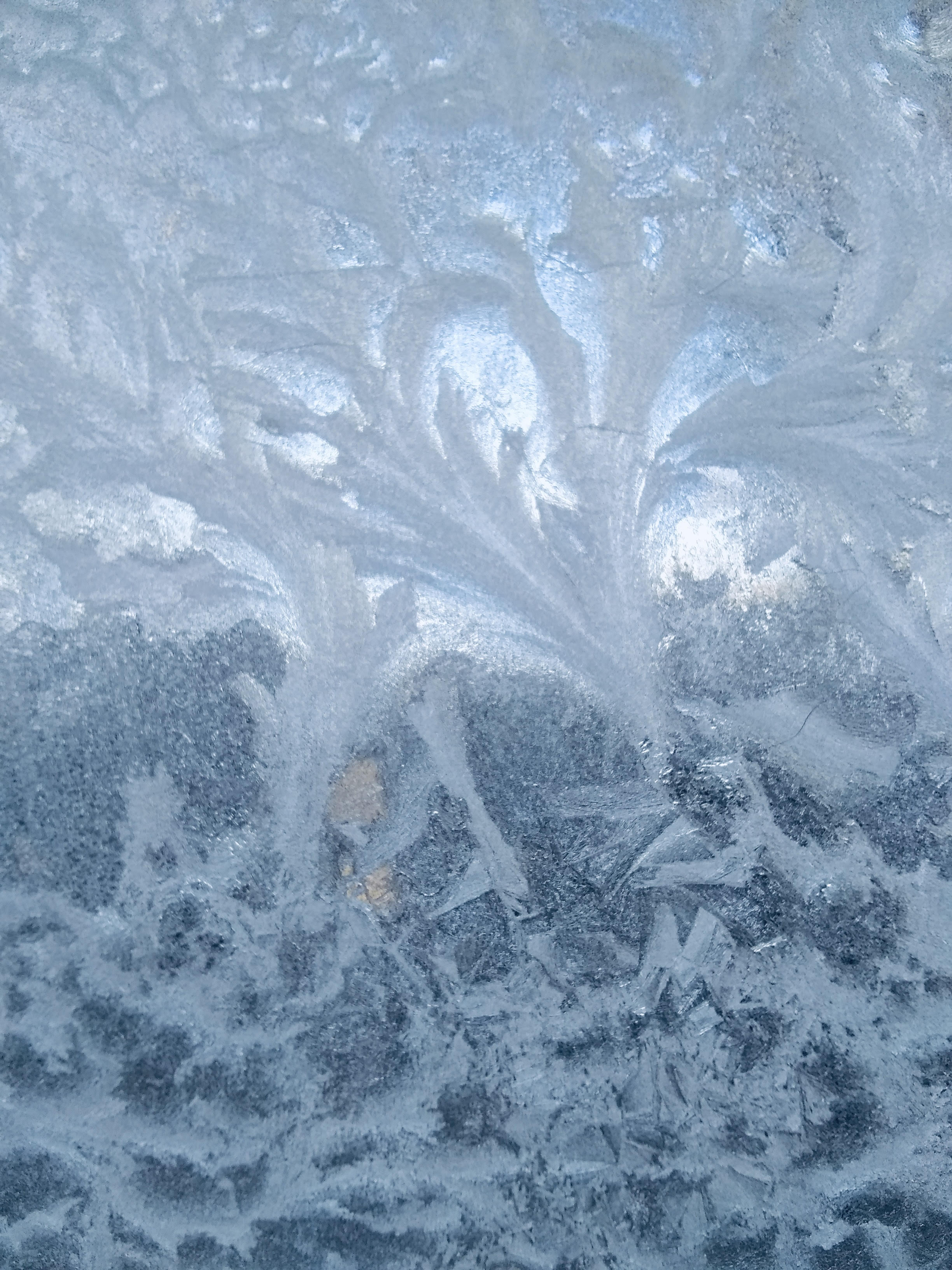 For one who didn't make it out - Bleeding Heartland