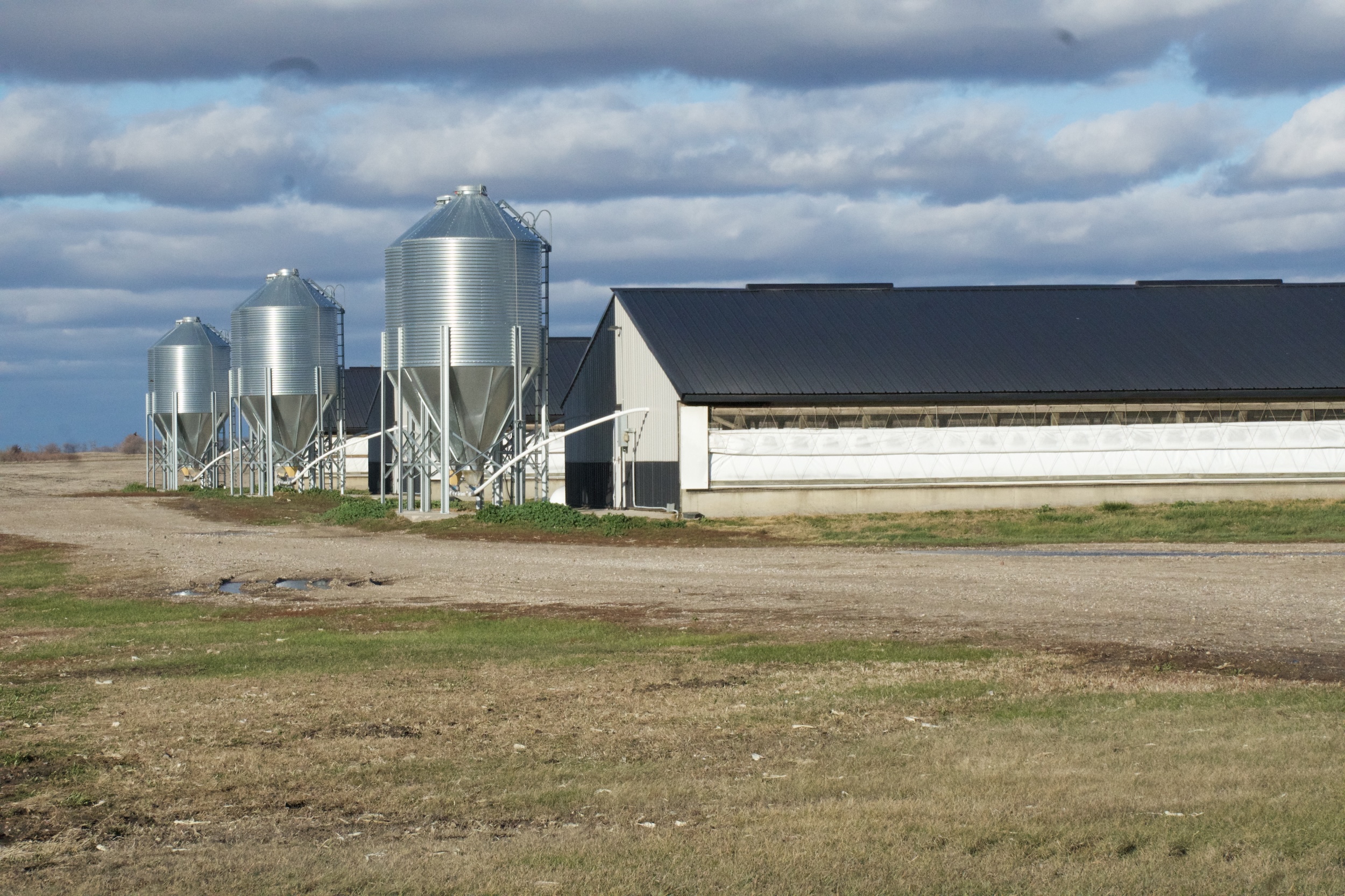 A Corn Belt surprise: Water pollution and cancer are on the ballot ...